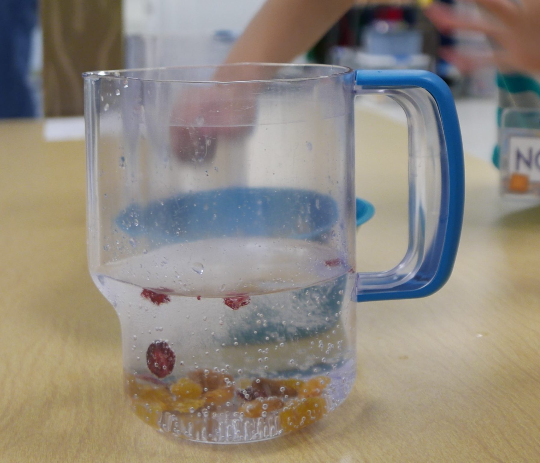 Sink or Float – Science at Home – Inventors of Tomorrow