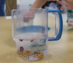 Sink or Float – Science at Home – Inventors of Tomorrow