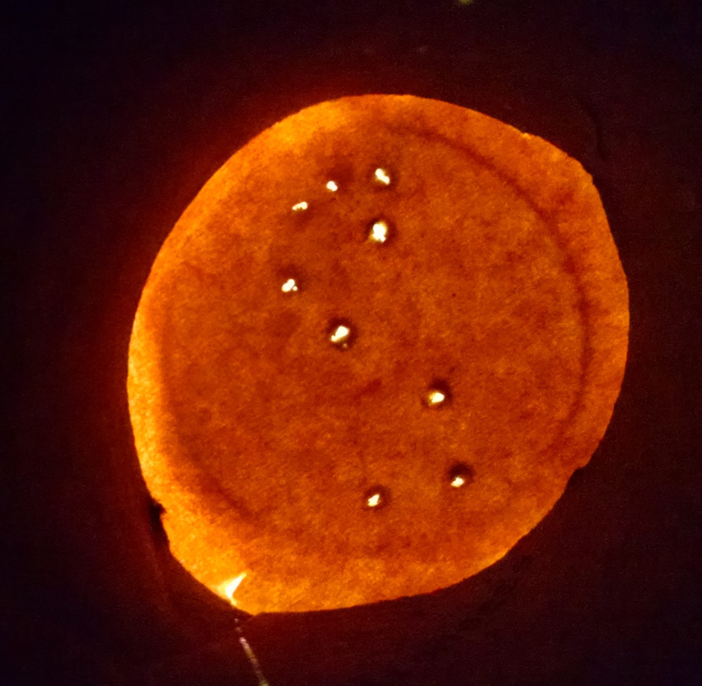 Make a Constellation Viewer – Inventors of Tomorrow