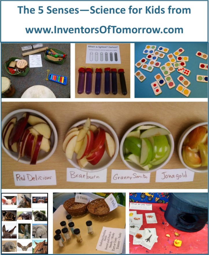 The 5 Senses and Observation – Inventors of Tomorrow