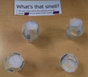 Science of Smell for Kids – Inventors of Tomorrow