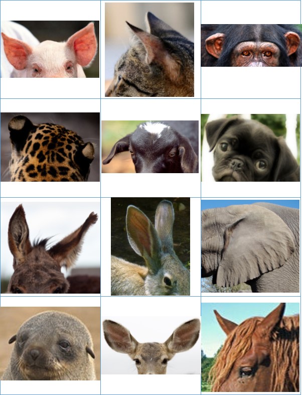 Hearing – Science for Kids – Inventors of Tomorrow