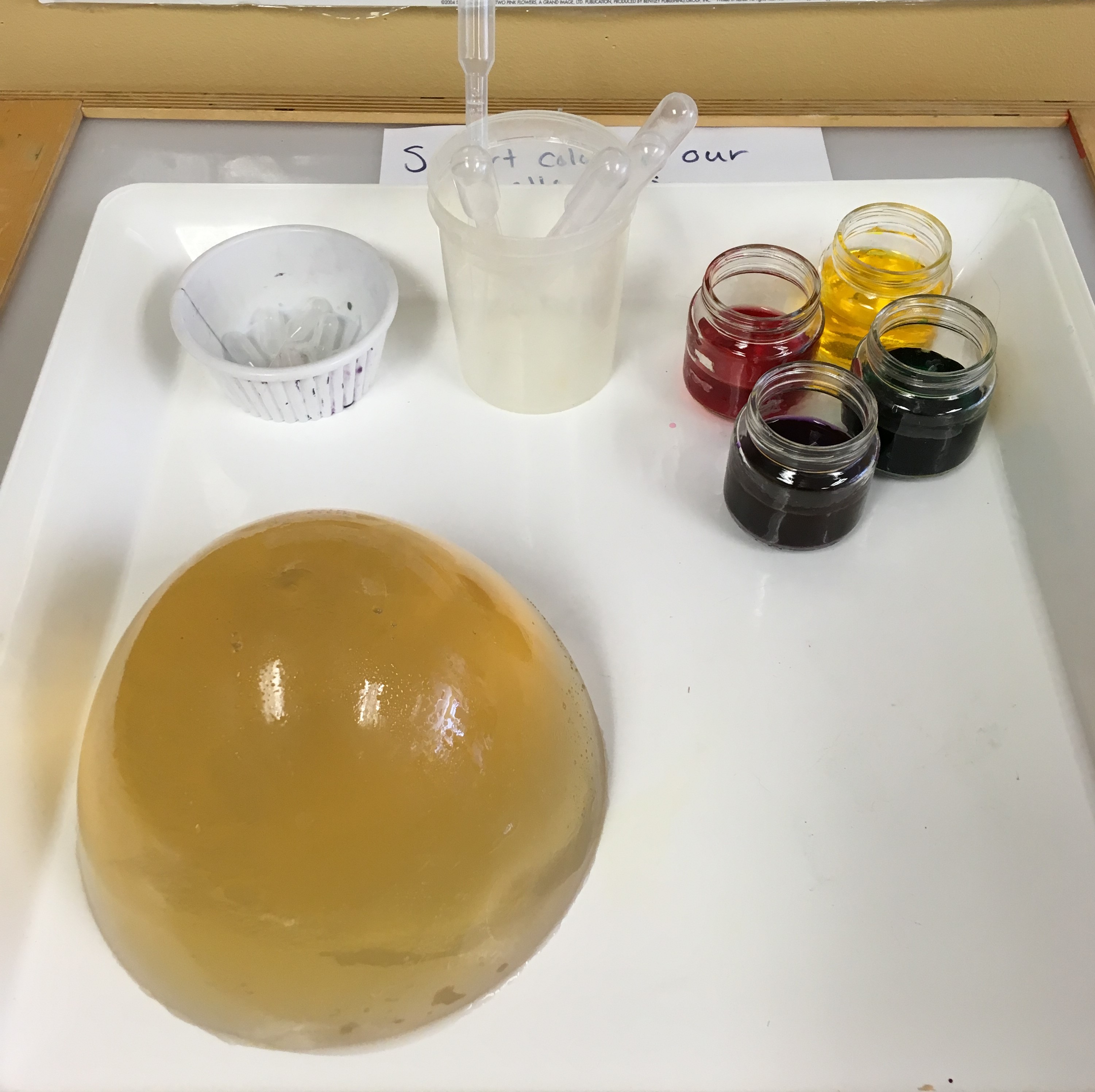 Egg Science for Kids – Inventors of Tomorrow