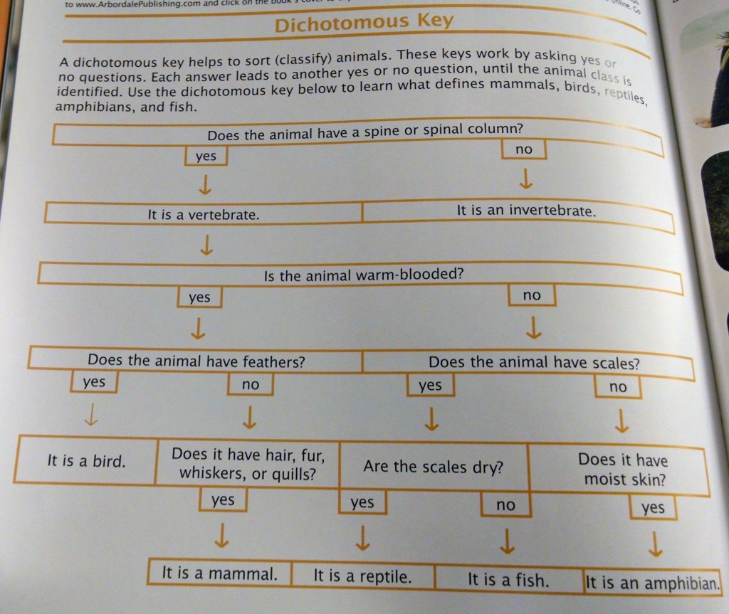 20 Questions Game – Inventors of Tomorrow