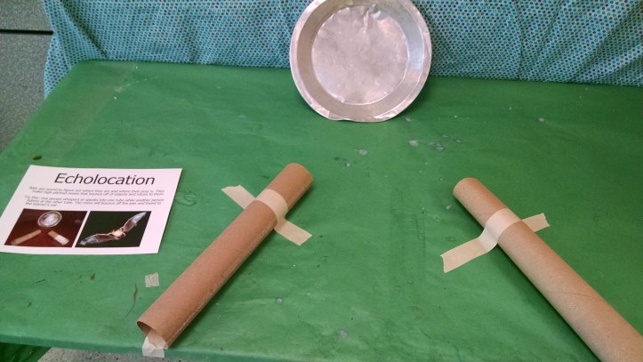 Adaptations – Biology for Kids – Inventors of Tomorrow