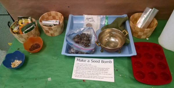 Seeds and Plants – Inventors of Tomorrow