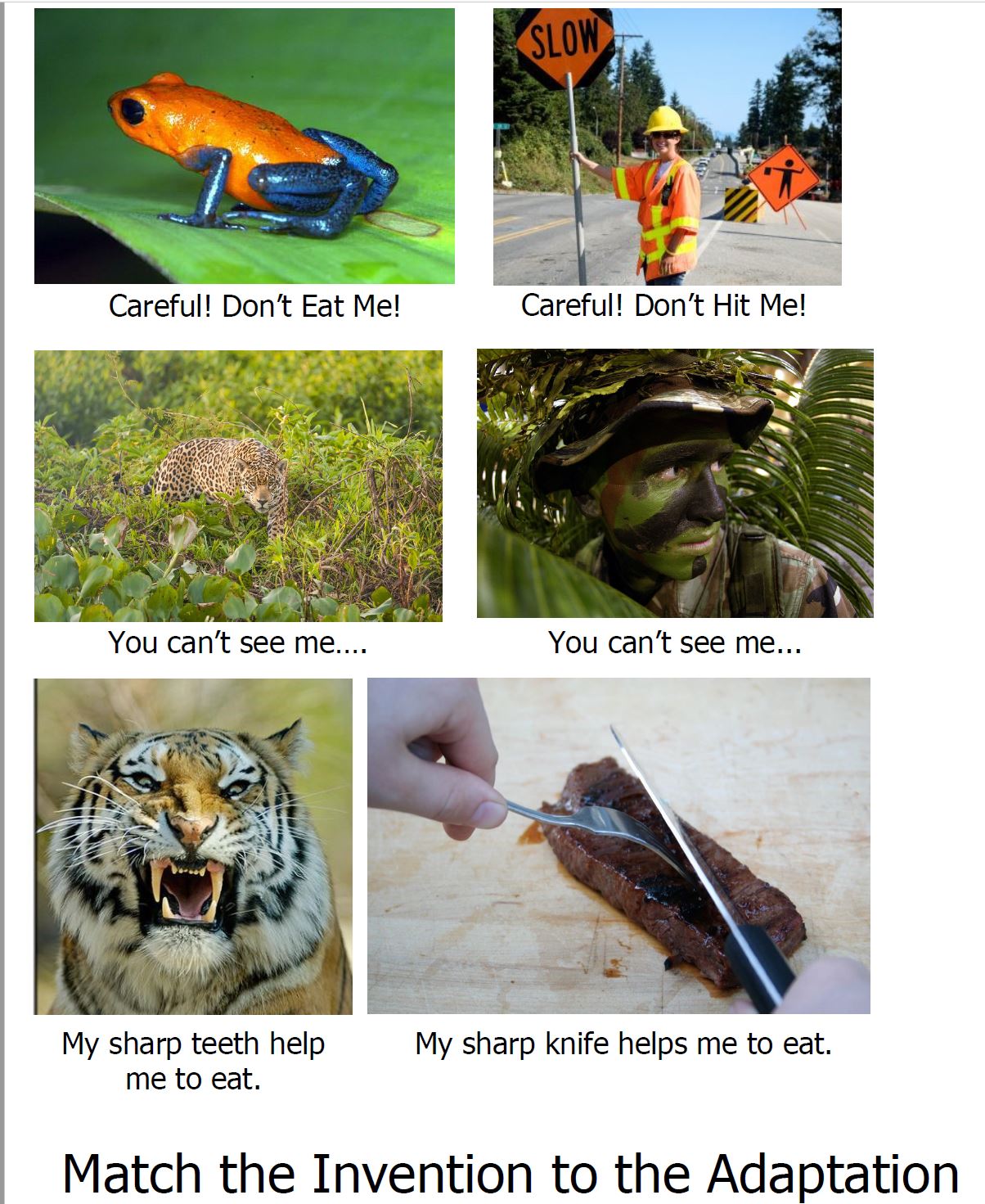 Adaptations – Biology for Kids – Inventors of Tomorrow