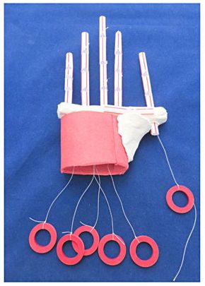 Build a Cardboard Finger – Inventors of Tomorrow