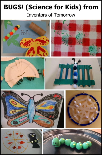 The Bug Factory – Crafts for Kids – Inventors of Tomorrow