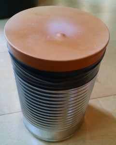 Salt Vibration: Making Sound Visible – Inventors of Tomorrow