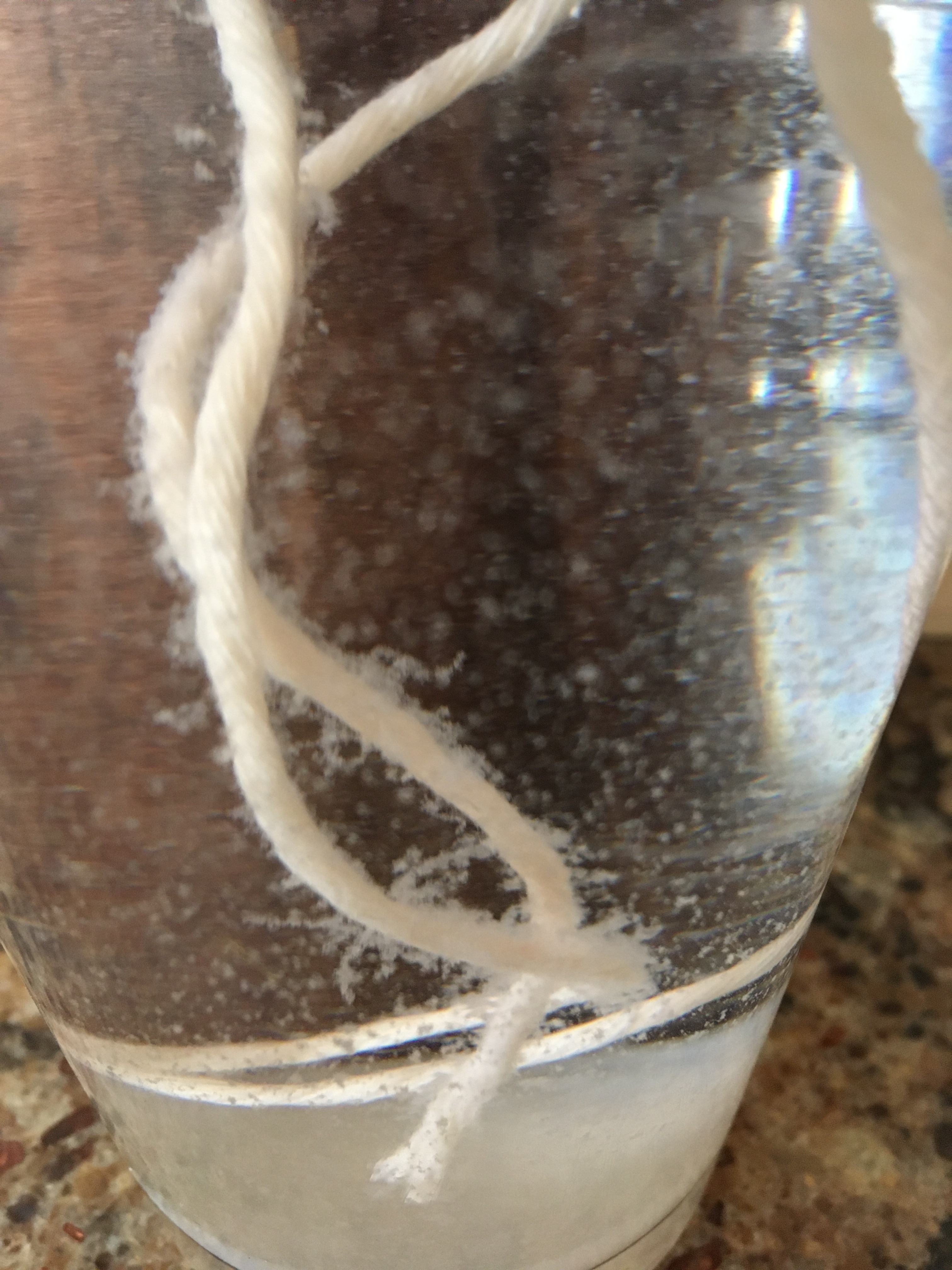 Crystallization Experiments – Inventors of Tomorrow