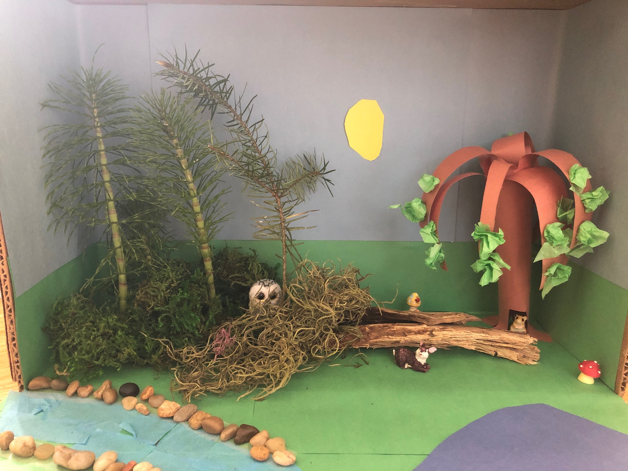 Habitat Diorama – Inventors of Tomorrow